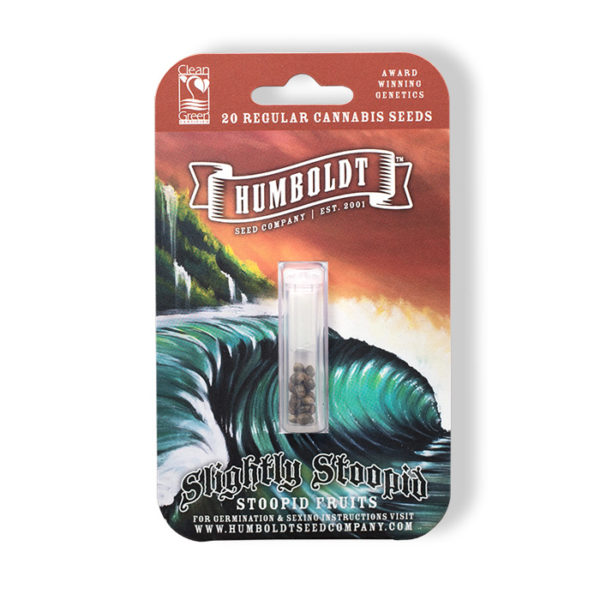 Regular Cannabis Seeds