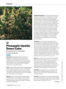Kitchen Toke Magazine Feature Pineapple Upside Down Cake