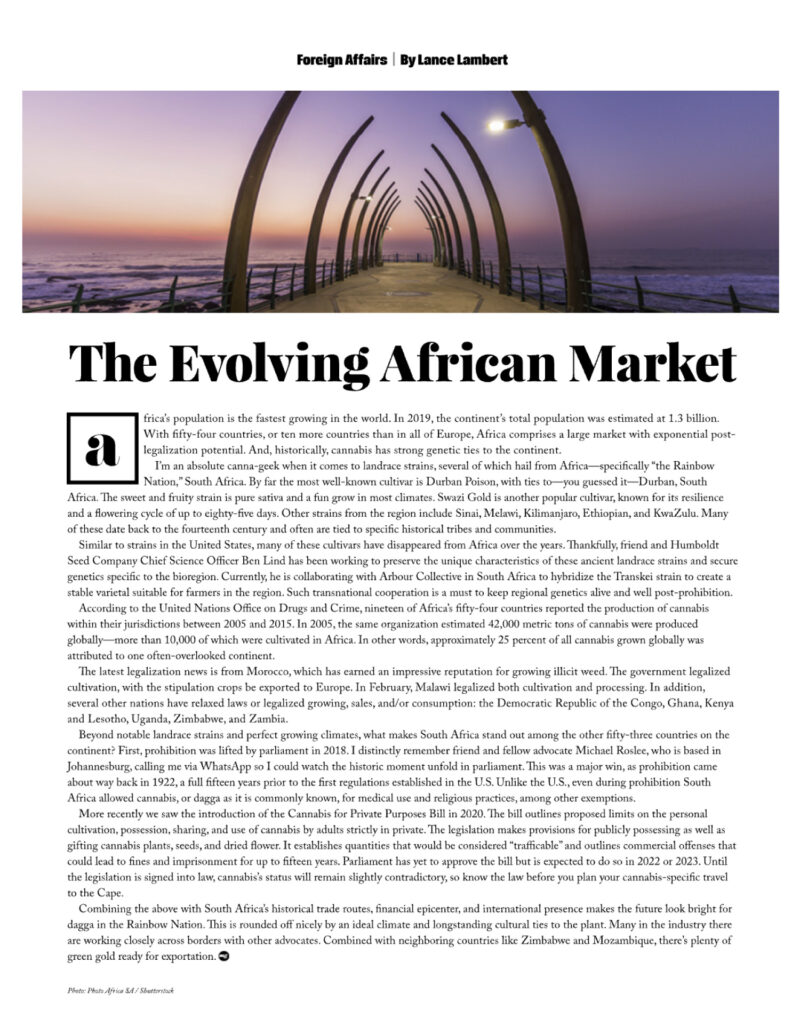 The Evolving African Cannabis Market - MG Magazine