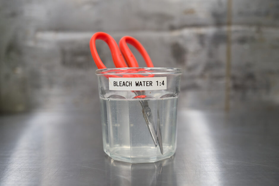 Cloning Weed Like an Professional