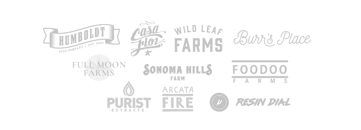 Pheno Hunting - Cannabis Seeds | Humboldt Seed Company