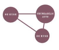 OG Kush Autoflower Seeds - Cannabis Seeds | Humboldt Seed Company