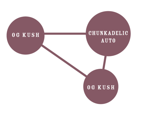 OG Kush Autoflower Seeds - Cannabis Seeds | Humboldt Seed Company