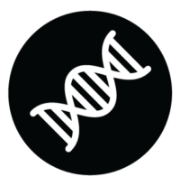 Donutz Triploid - Cannabis Seeds | Humboldt Seed Company