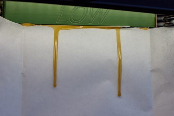 Exploring the Many Beautiful Types of Hash - Cannabis Seeds | Humboldt ...