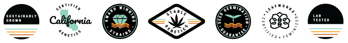 Donutz Triploid - Cannabis Seeds | Humboldt Seed Company