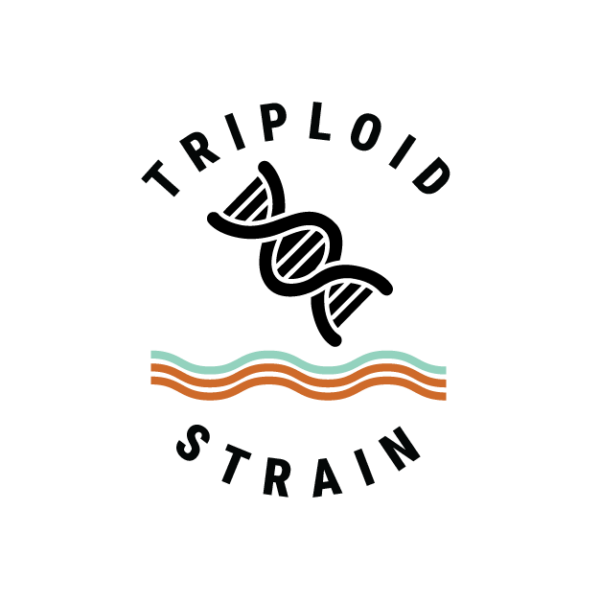 OG Triploid - Cannabis Seeds | Humboldt Seed Company