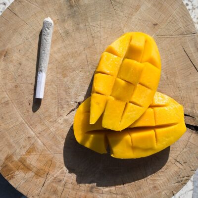 Do Mangoes Really Make You Higher? - Cannabis Seeds | Humboldt Seed Company