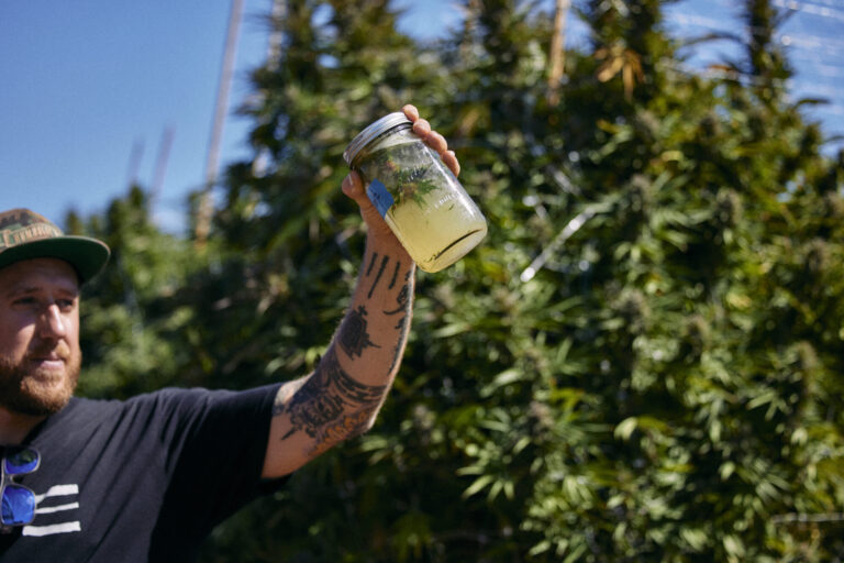 The Hunt for the Perfect Wash: 6 Days in the Secret Heart of the ...