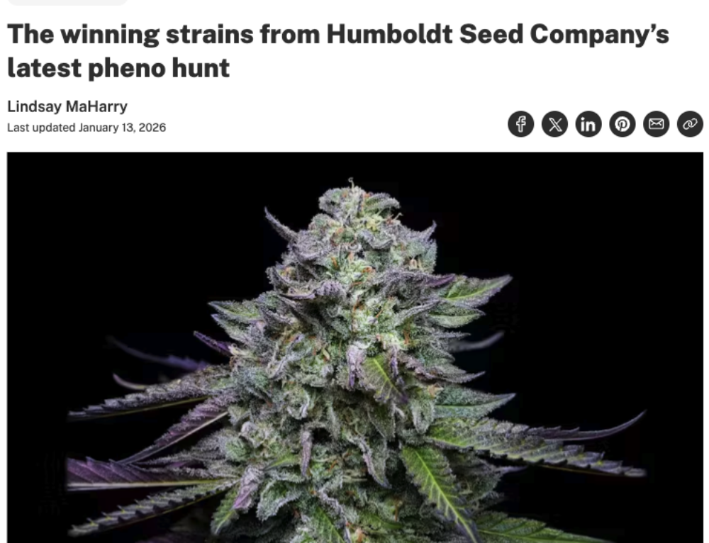 The Hunt for the Perfect Wash: 6 Days in the Secret Heart of the ...