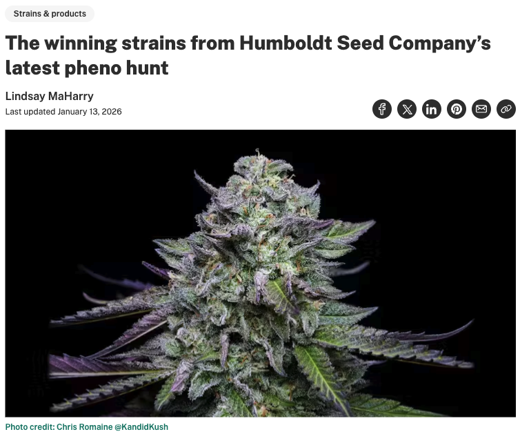 The Hunt for the Perfect Wash: 6 Days in the Secret Heart of the ...